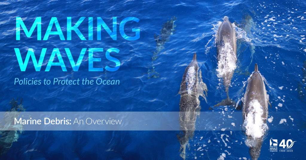 MAKING WAVES - Marine Debris Part 1: An Overview - Pacific Whale Foundation Eco-Adventures