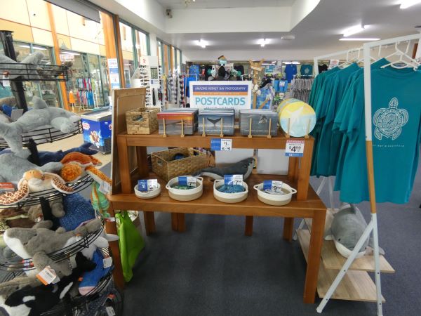 Ocean Store ... Check-In Here! - Pacific Whale Foundation Eco-Adventures