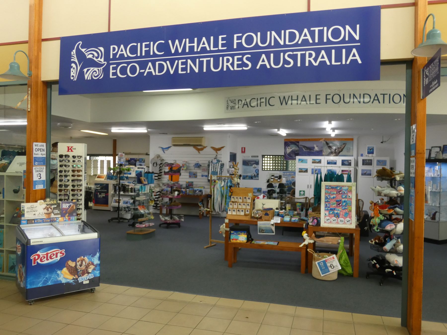 Ocean Store ... Check-In Here! - Pacific Whale Foundation Eco-Adventures