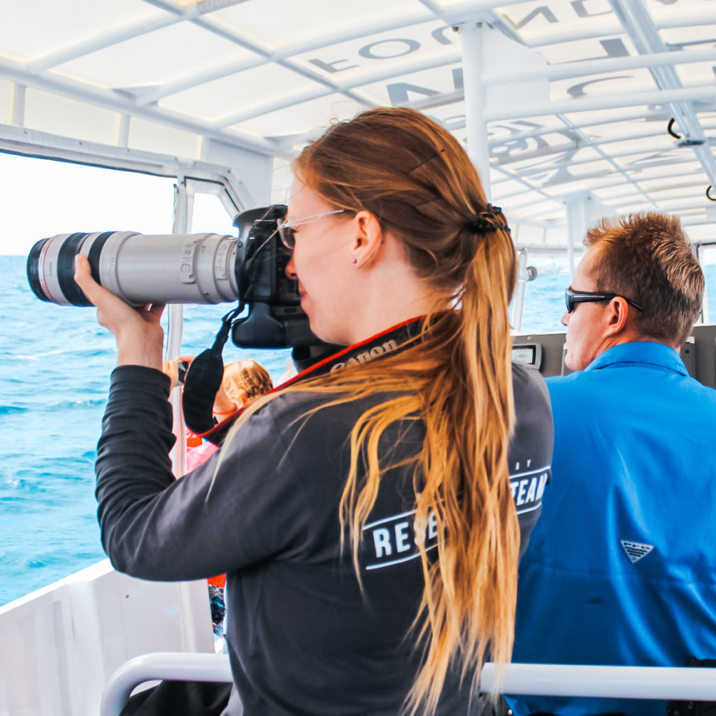 Volunteer - Pacific Whale Foundation Eco-Adventures