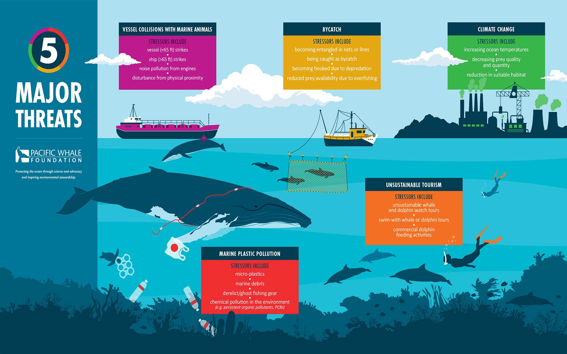 Why We Do - Pacific Whale Foundation Eco-Adventures