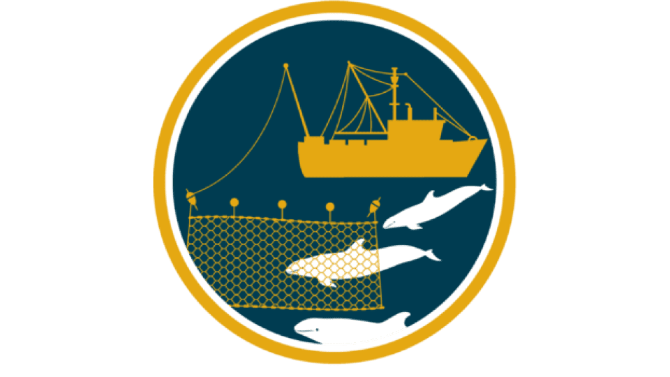 Why We Do - Pacific Whale Foundation Eco-Adventures